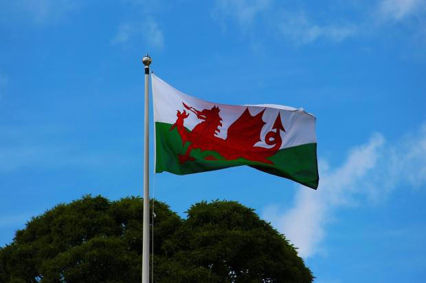 Stop issuing documents in Welsh that 'just go into the bin'