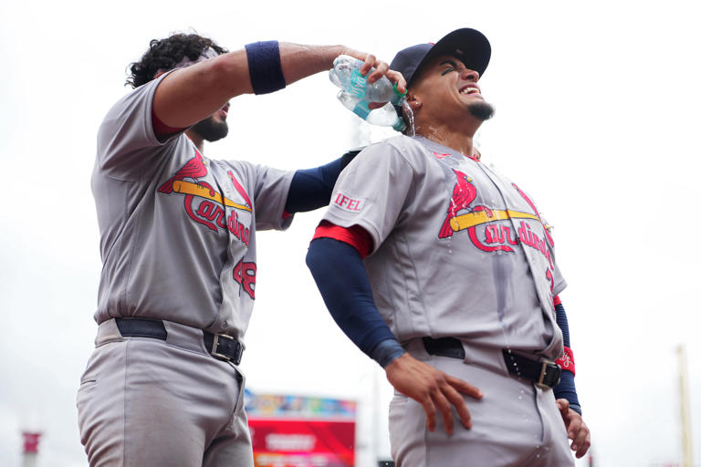 Cardinals' Bryan Torres, who began minors journey in 2015, nabs first ...