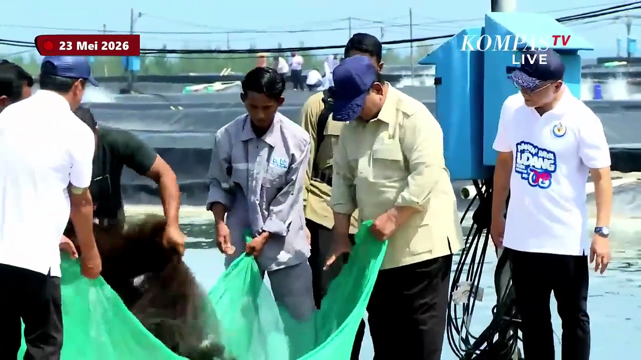 [Full] Prabowo panen raya udang di Kebumen, tarik jala bareng penambak ...