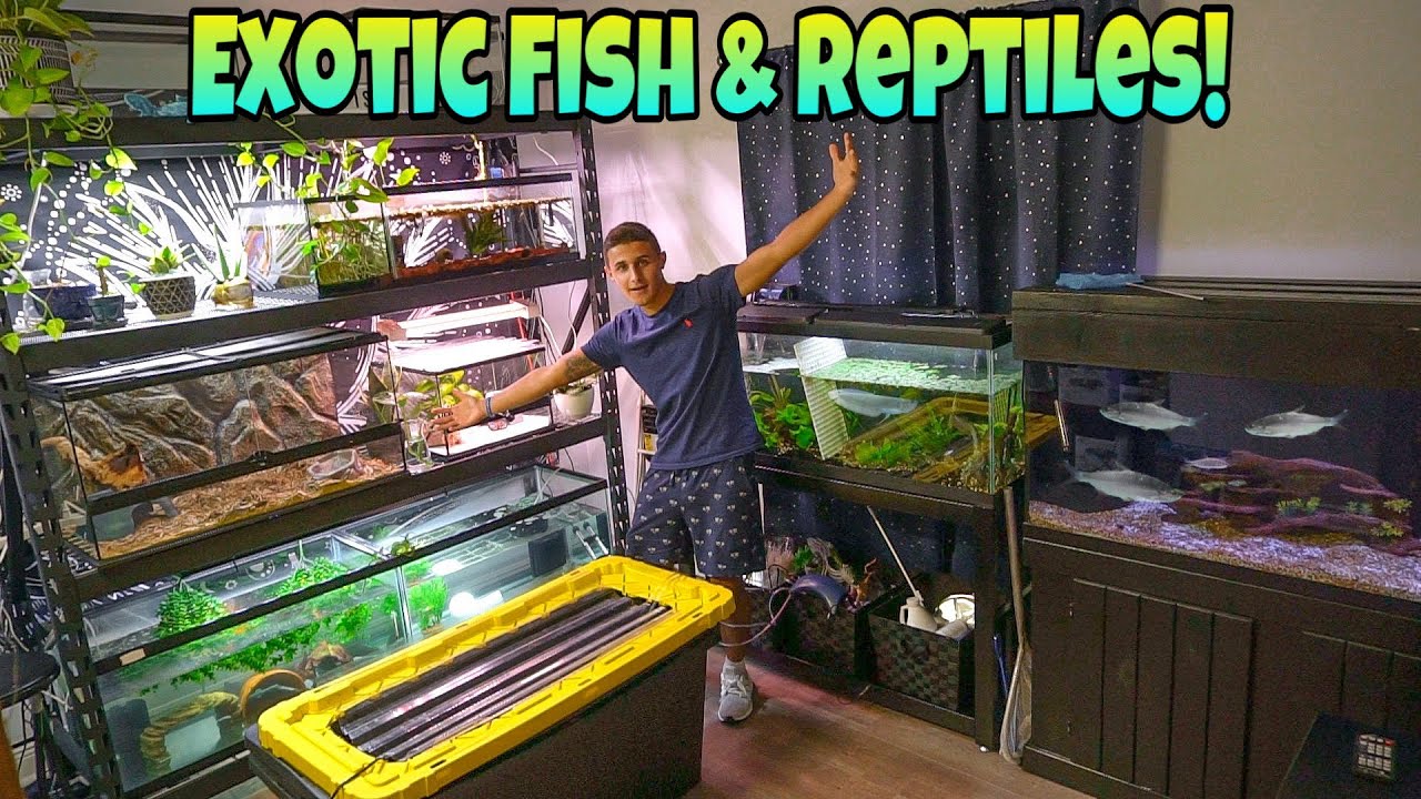 I explore an exotic animal paradise!