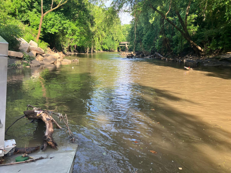 Thousands of fish found dead in 20-mile stretch of Chattahoochee River ...