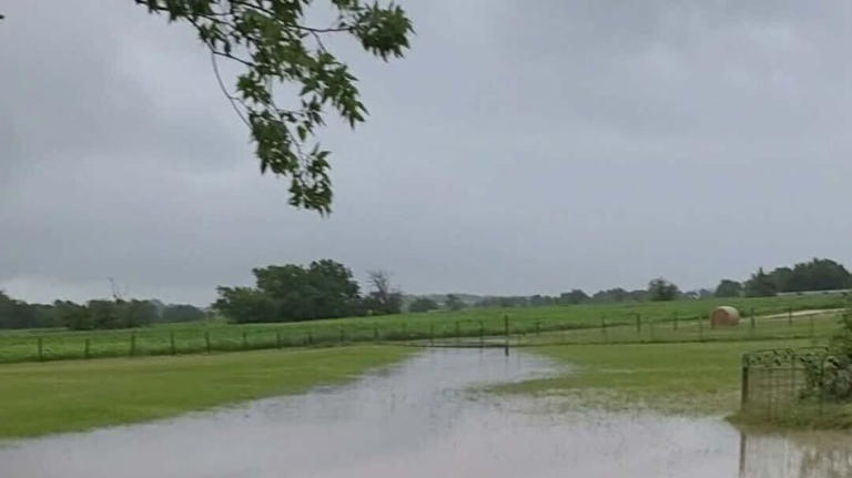 Williamson County adopts updated floodplain maps as resident ...