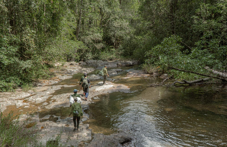 'I would rather be shot than die in a hospital bed': Wildlife ...