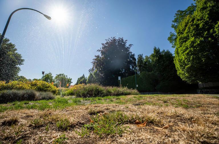 Metro Vancouver warns stage 3 water restrictions likely to begin in June