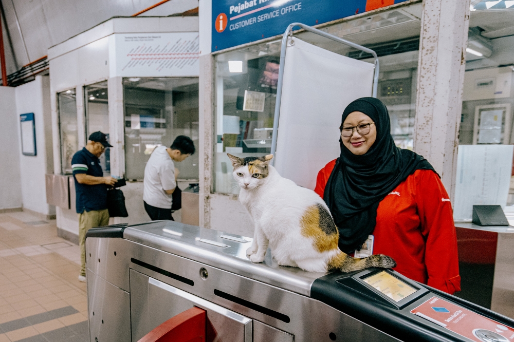 Rapid KL station cats: How Kenit, Adik, Lembu, and Cantik became local ...