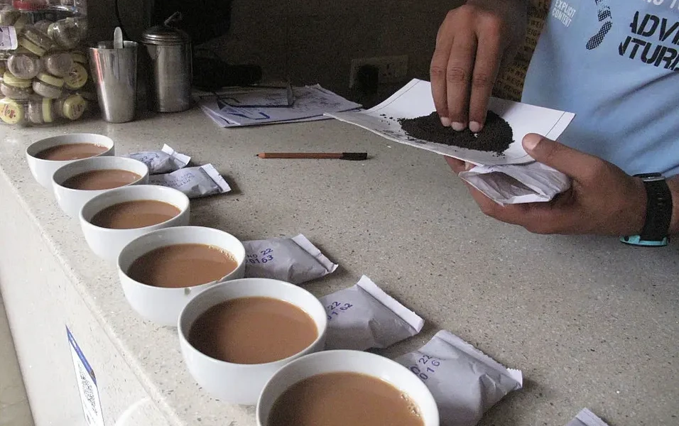 Gen Z and health trends push tea into summer spotlight