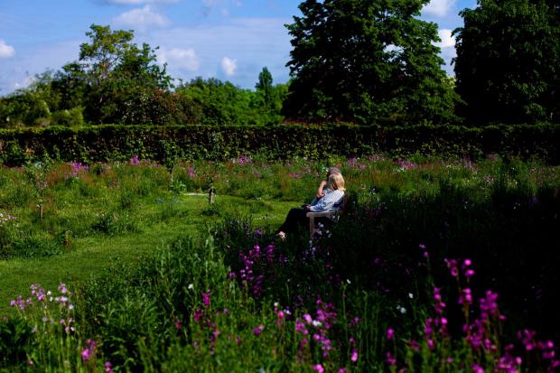 Peaceful scene captured on morning walk is our picture of the week