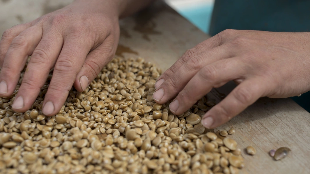 Craig LaBan spotlights Jersey Shore seafood gems for summer