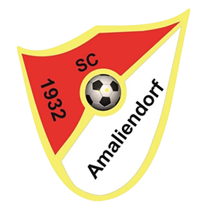 „Nach dem 1:0 müssen wir nachlegen“ – Lamp erklärt Amaliendorfs 2:5 in ...