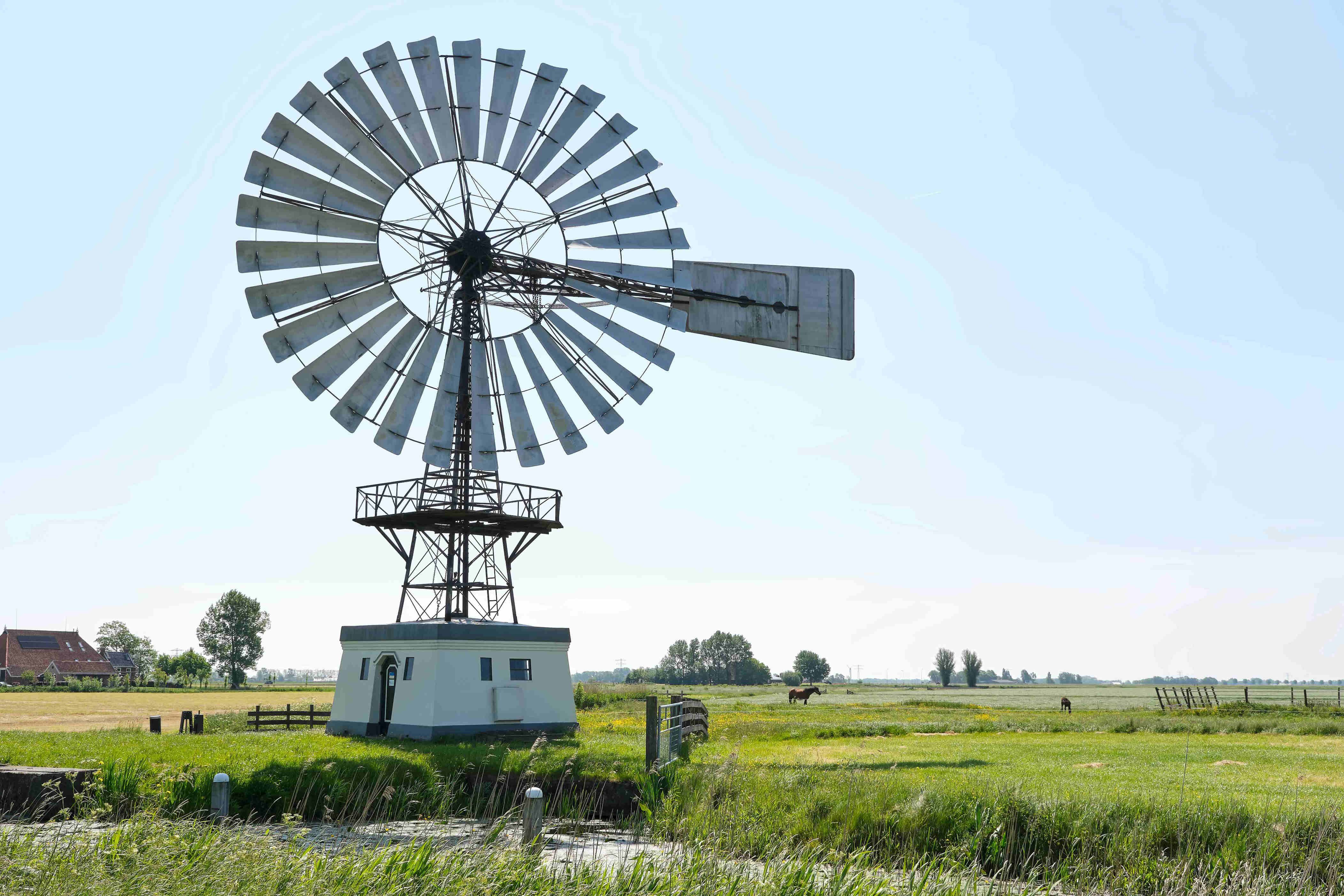 Op de bodem van een oude zee: ontdek de magische Greidhoek in Friesland