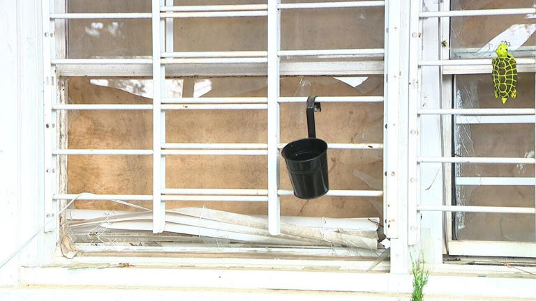 ‘I feel like I cannot move forward’: Woman lives with damage months ...