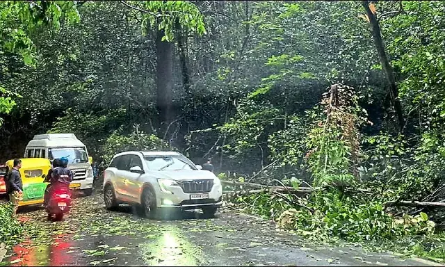 Hebri: Tree falls on road; Agumbe Ghat blocked