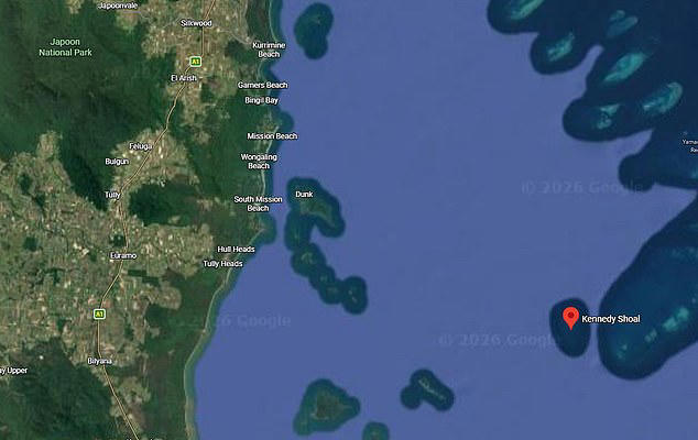 Man dies in shark attack after being pulled from water on Great Barrier ...