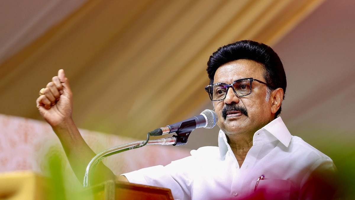 Tamil Nadu govt running on DMK's mercy: MK Stalin says Vijay wave won't ...