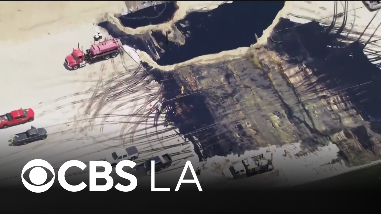 Oiled birds found after East Los Angeles ruptured pipeline leaks crude ...
