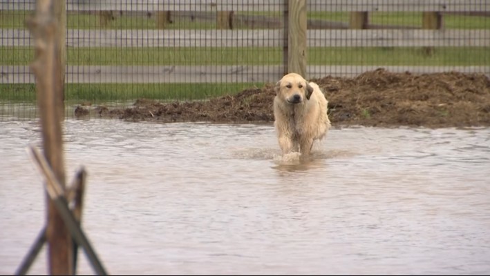 Delaware County family cleaning up farm after floods from heavy rain
