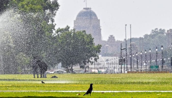 Delhi weather update: National capital to keep boiling? Check IMD forecast