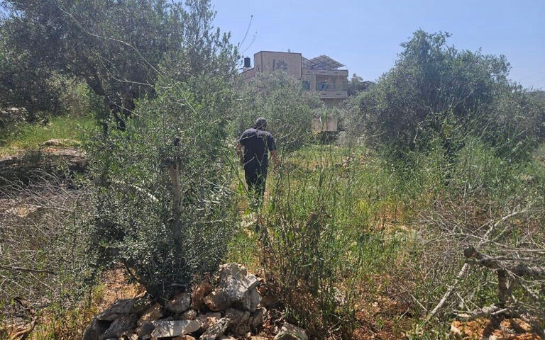Citing security, IDF appears to sharply accelerate uprooting of West ...