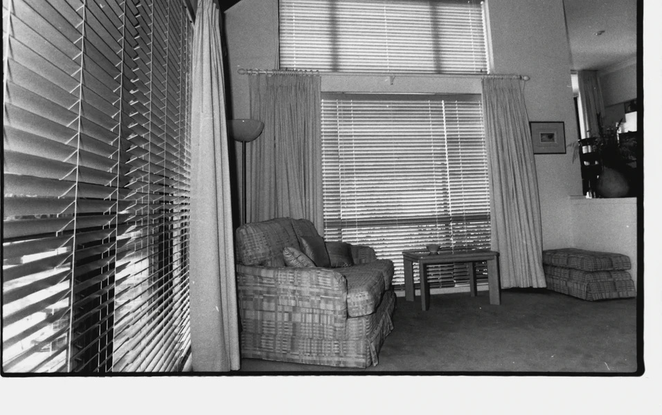 Experts outline key differences between blinds and shades