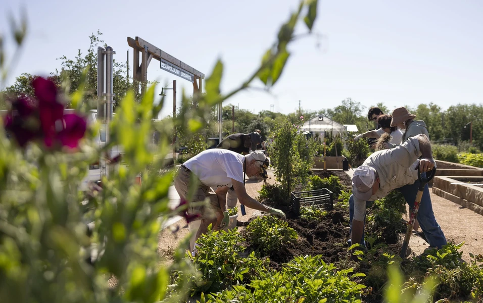 Farm-to-table made simple for everyday food lovers