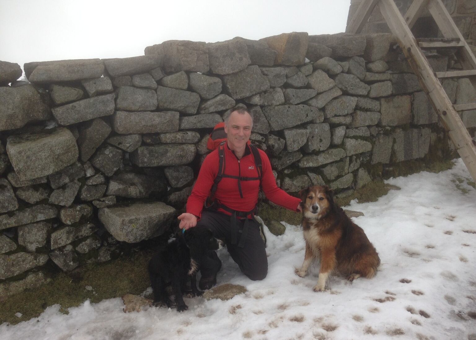 Co Down man donates kidney to stranger despite battling rare ...