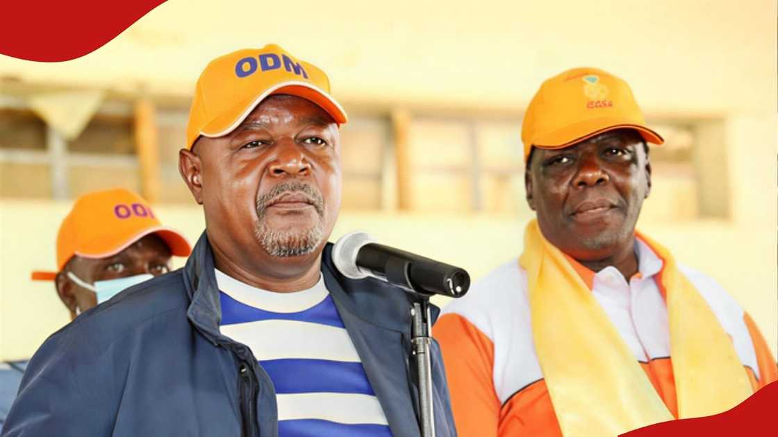 Kisumu: Former MP's son, NSSF employee killed by armed men in night attack
