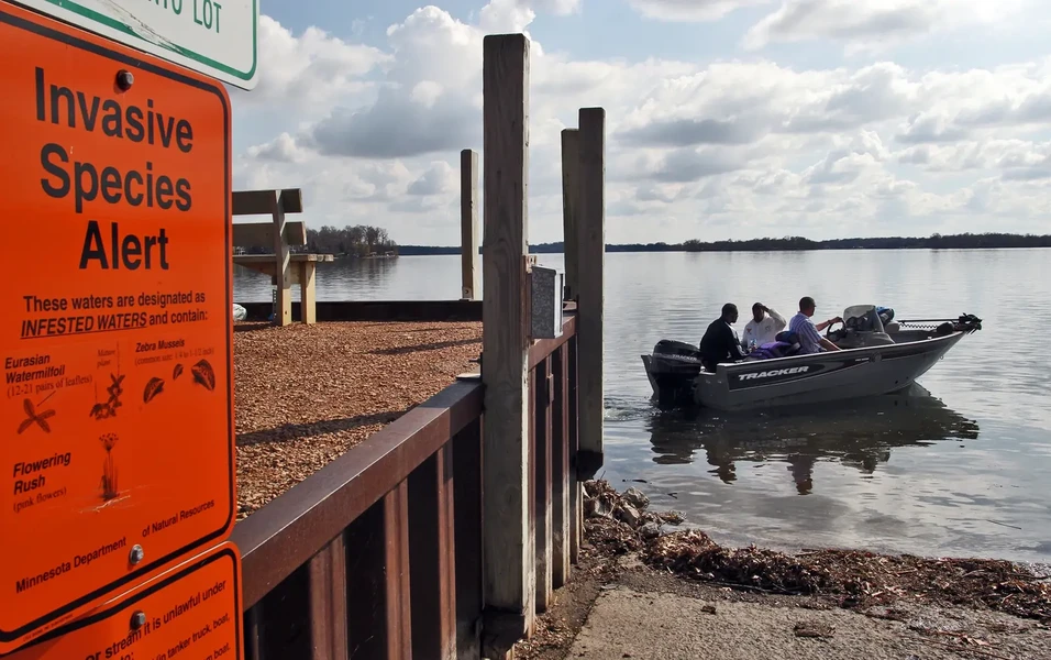 Officials warn of rising threat from invasive freshwater species
