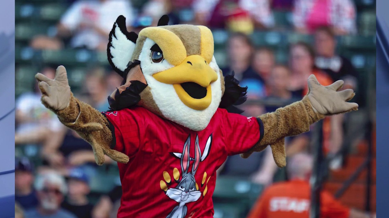 Schaumburg Boomers provide perfect family entertainment for Memorial ...