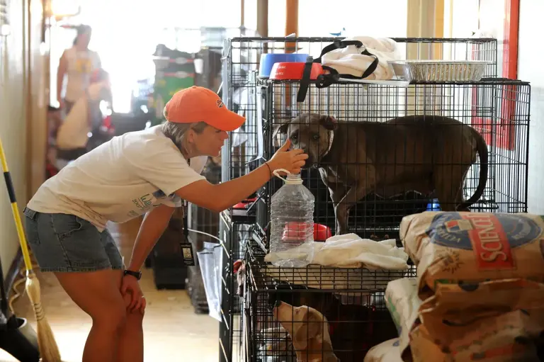 The 6 safest places to shelter at home during severe weather – ranked ...