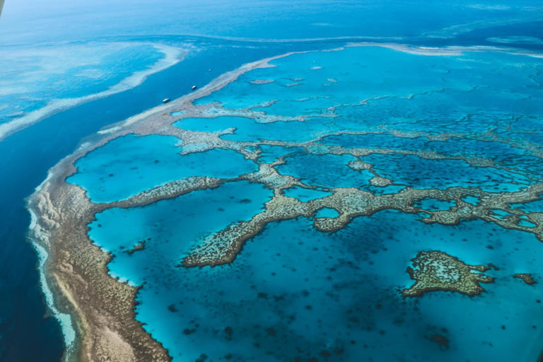 Man dies after shark attack on Australia’s Great Barrier Reef