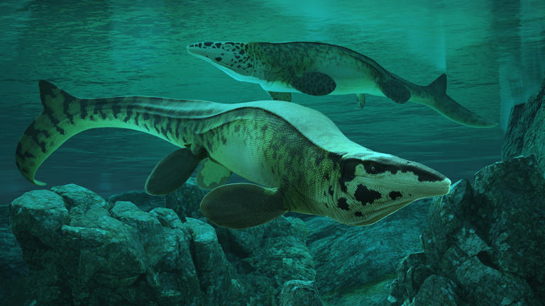 Tylosaurus rex: Scientists name formidable extinct 43-foot ocean ...