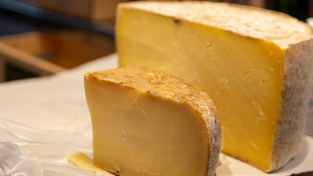 Cheese blends that make every bite unforgettable