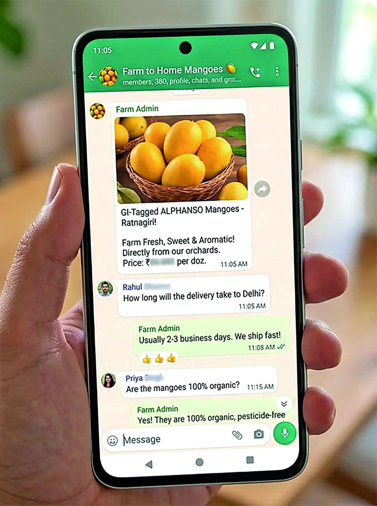 From orchard to doorstep: Urban India wants traceable mangoes