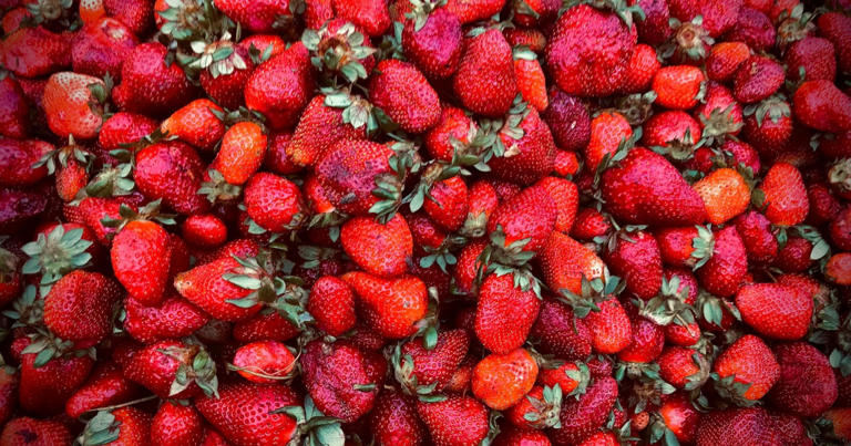 Nearly 100% of 2026 'dirty dozen' list tested positive for pesticides ...