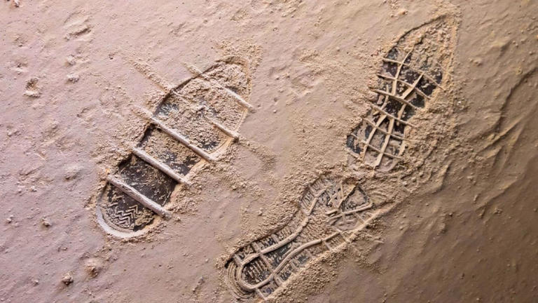 What stranger’s boot tracks under your stand can tell you