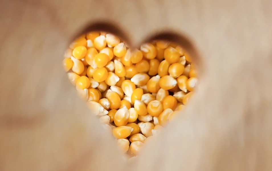 Corn recipes from kitchens worldwide