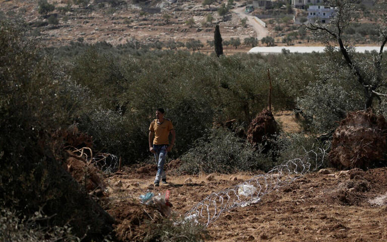Citing security, IDF appears to sharply accelerate uprooting of West ...