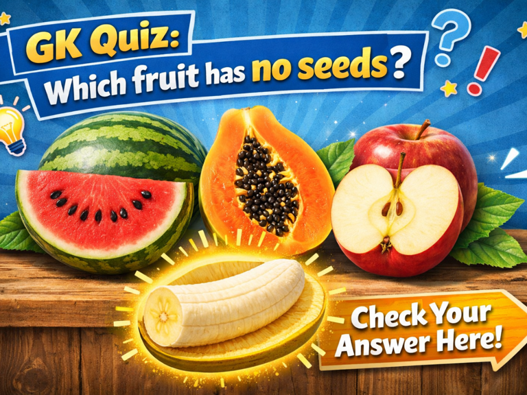 GK quiz: Which fruit has no seeds? Check your answer here
