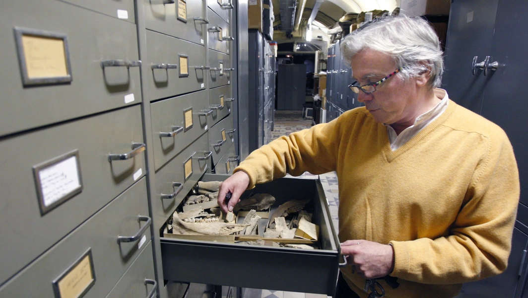 Ancient Canadian fossils push back animal evolution timeline