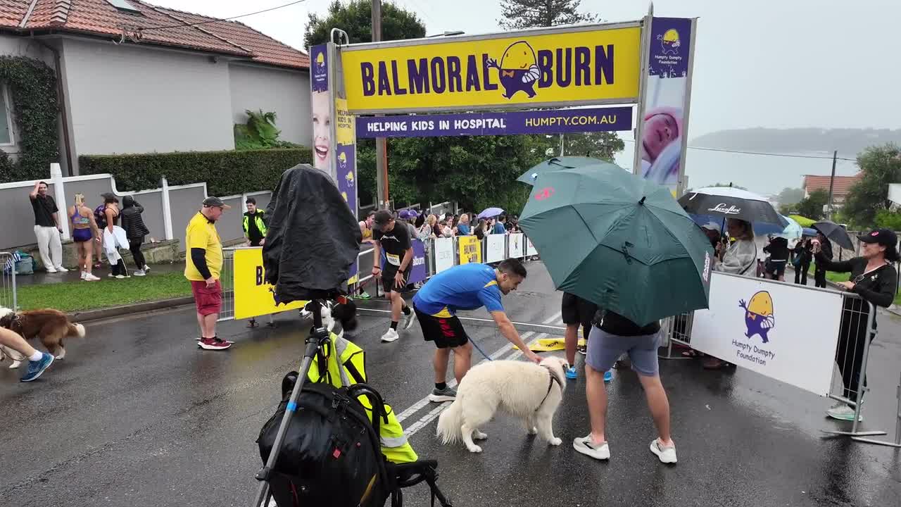 Dogs and owners take part in 25th anniversary of the Balmoral Burn fun ...