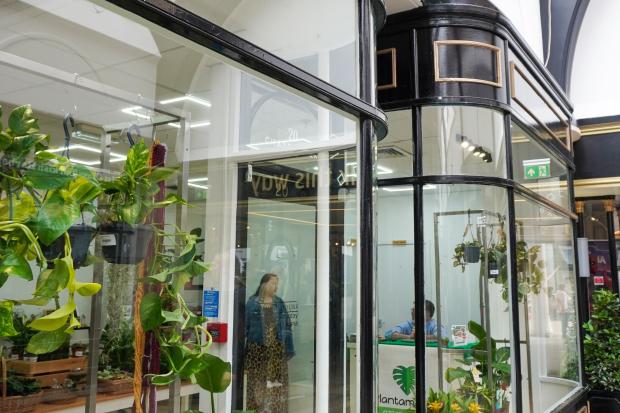 Plant shop makes 'stunning' return to city centre