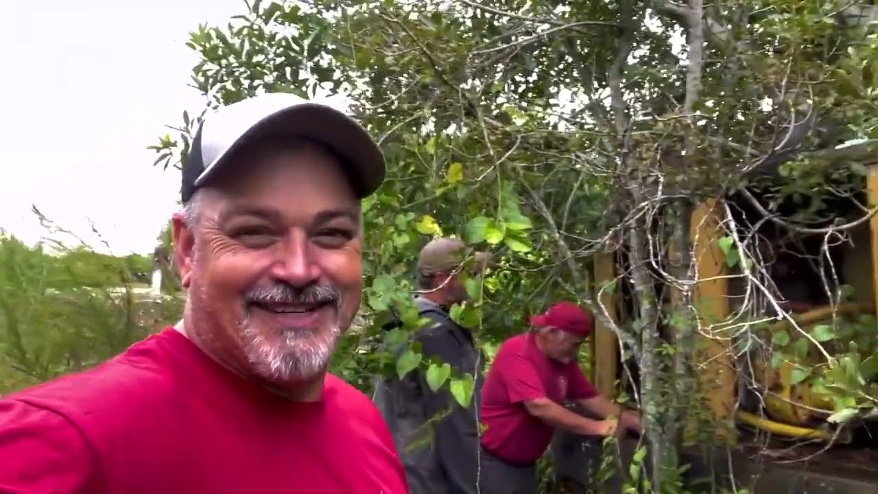Abandoned excavator discovered in swamp