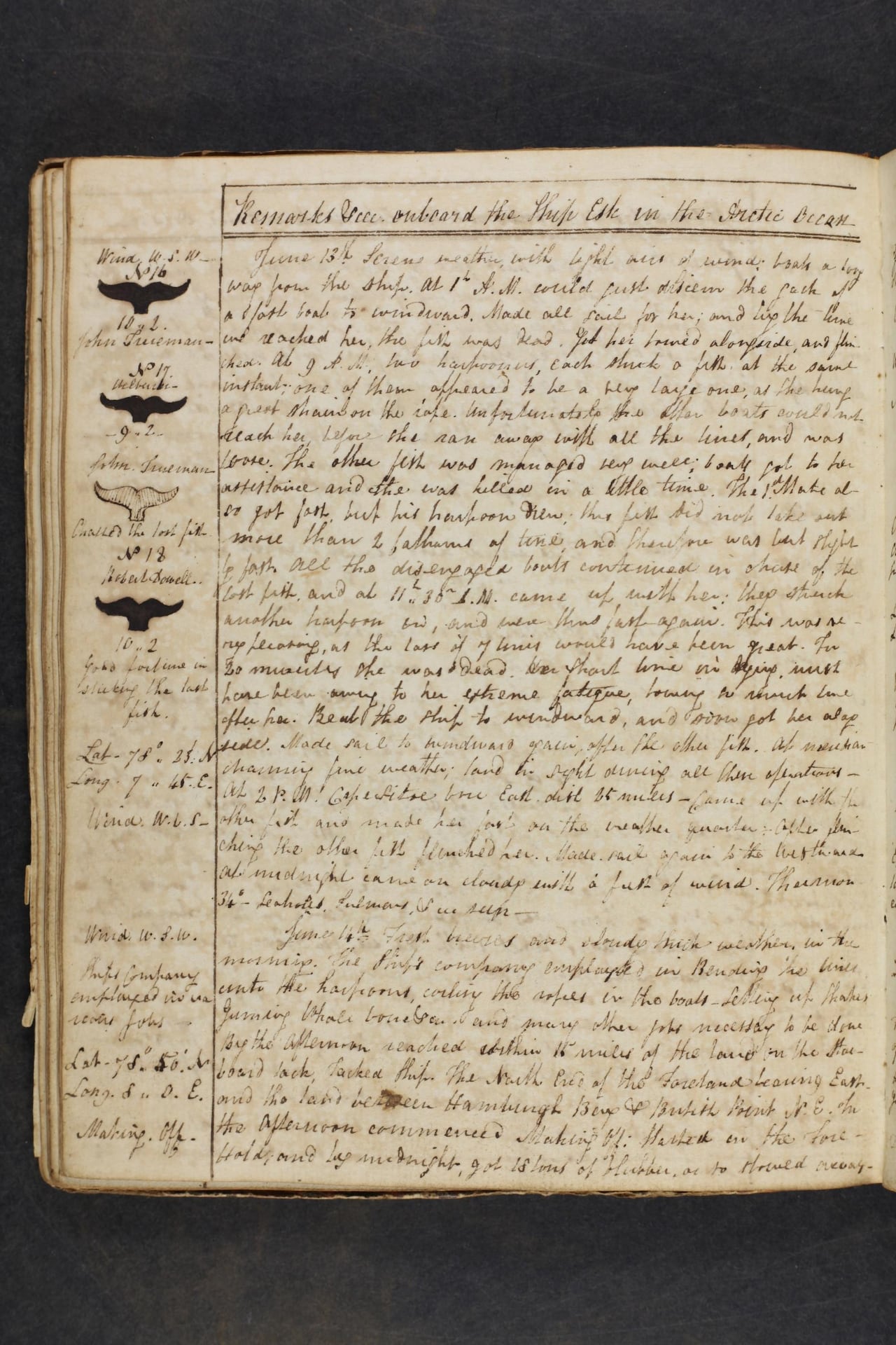 What centuries-old whaler logs can tell us about why bowheads struggle ...