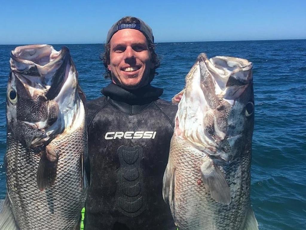 Man killed in horror shark attack