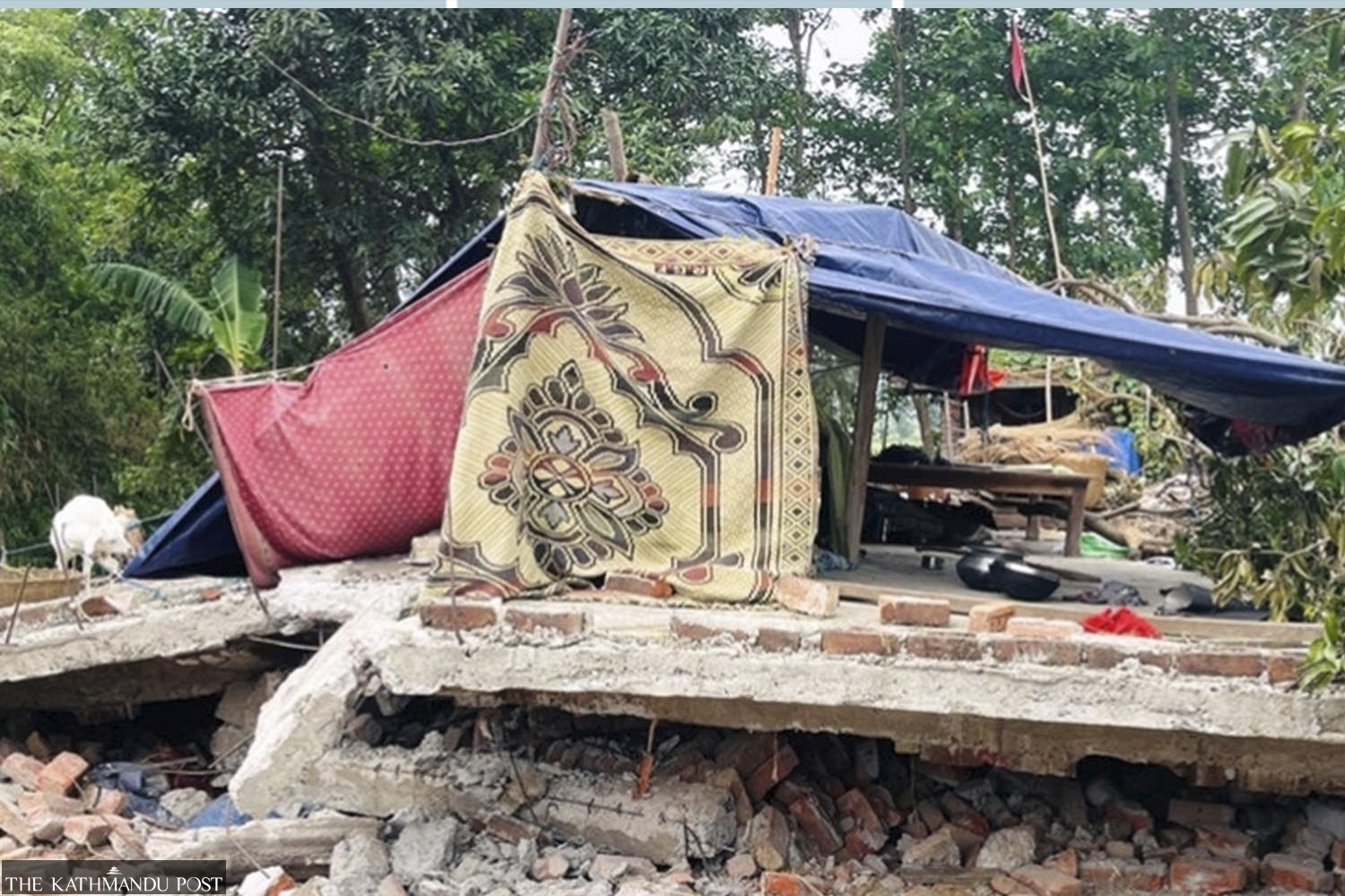 Saptari eviction leaves family homeless; 75-year-old woman dies amid ...