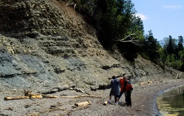 Ancient Canadian fossils push back animal evolution timeline