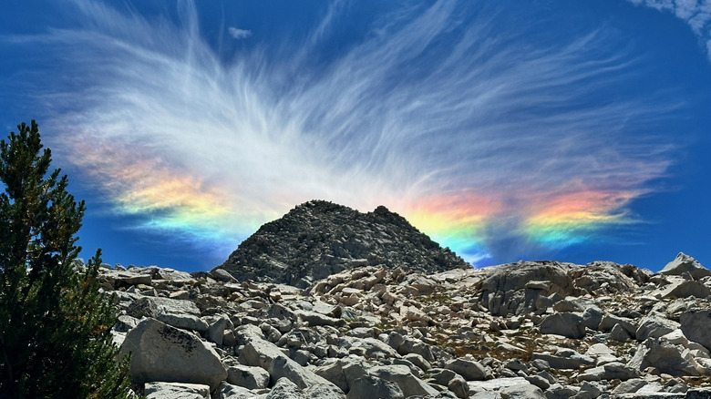 The mesmerizing 'fire rainbow' phenomenon is easily explained by science