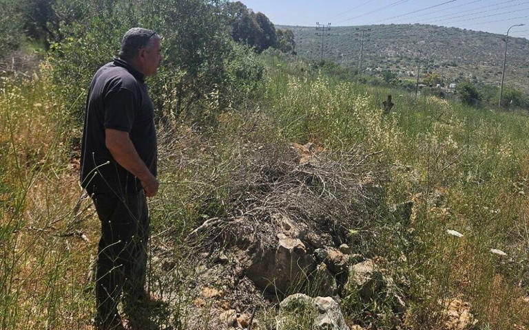 Citing security, IDF appears to sharply accelerate uprooting of West ...