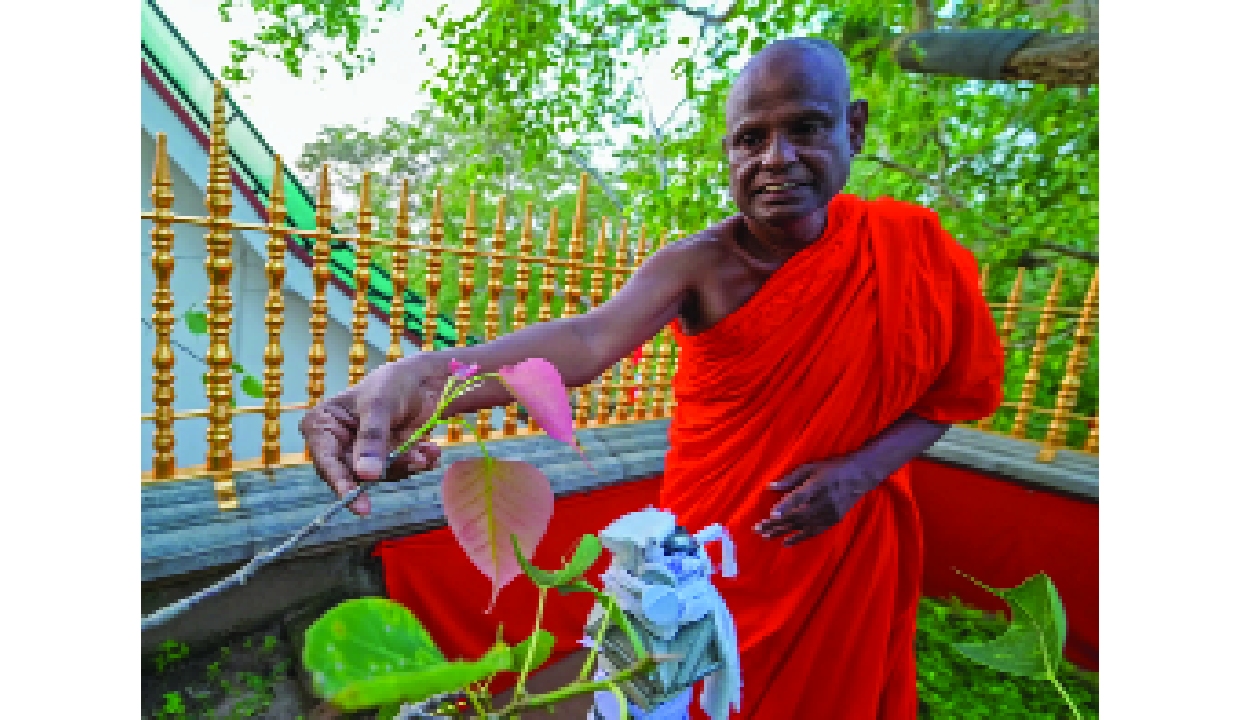 Buddhist monk accused of child sexual abuse is released on bail in Sri ...