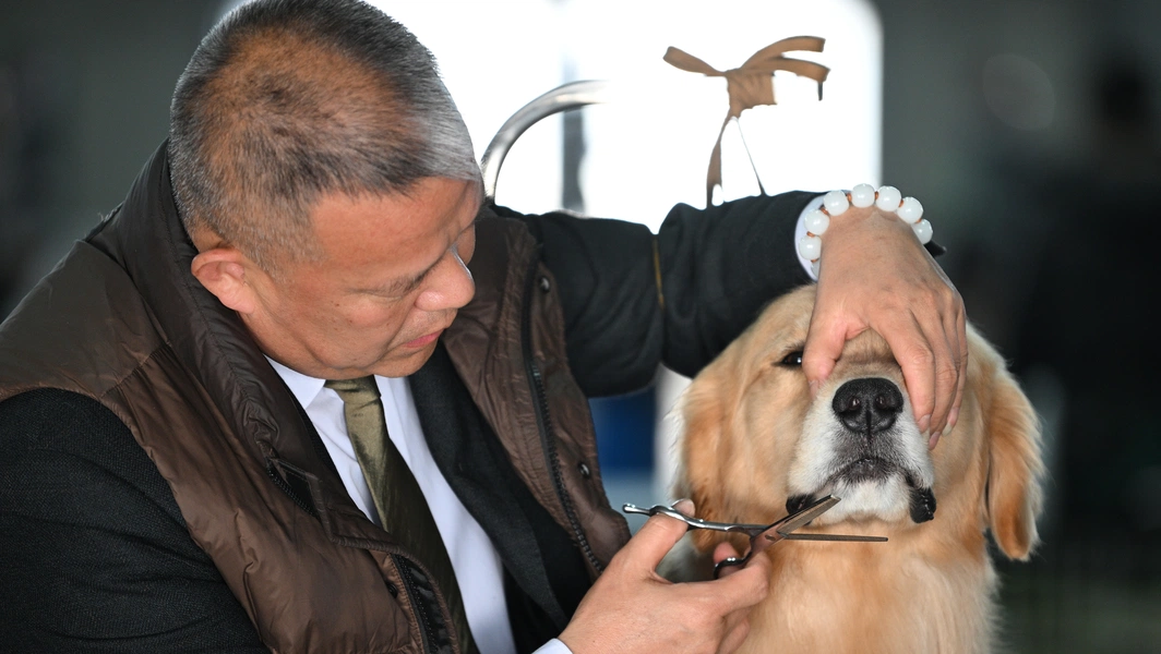 Keeping your dog healthy through grooming care